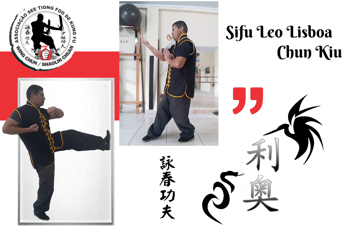 Wing Chun e seus Tchia-Dsus - Wing Chun